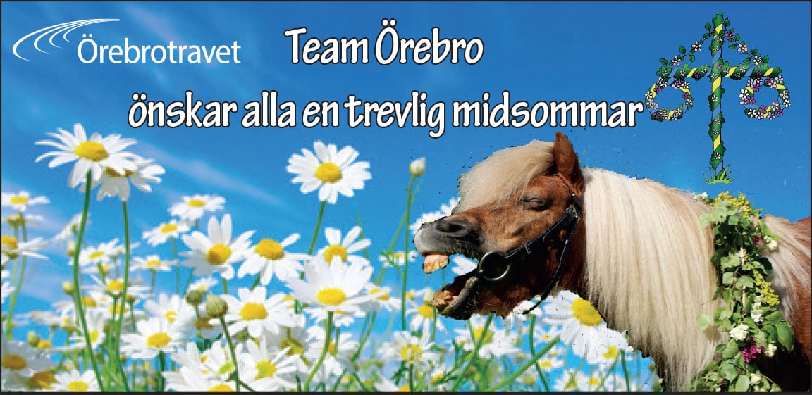 Trevlig midsommar
