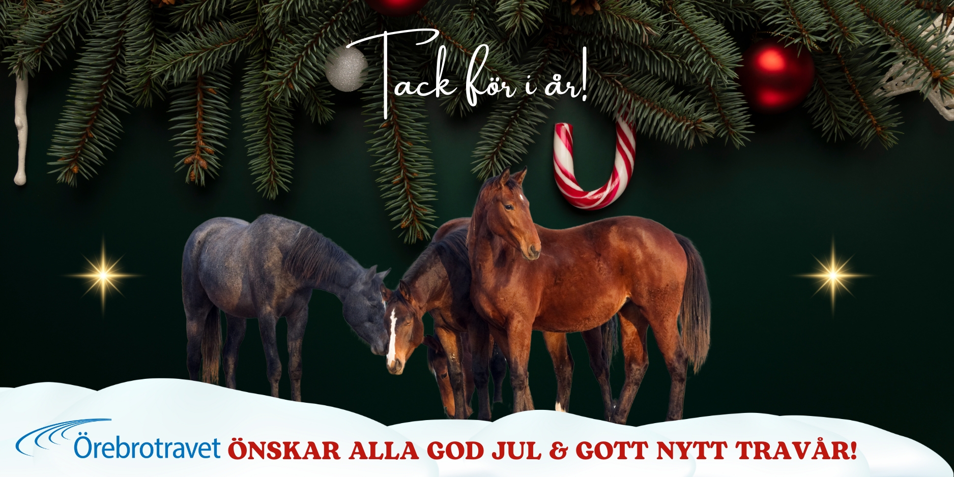 God Jul & Gott Nytt Travår!